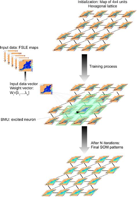 Figure A1 Schematic Representation Of The Som Algorithm Download