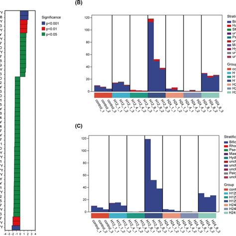 The Functional Prediction Of Altered Microbiota Based On Picrust A Download Scientific