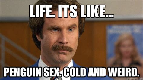 Life Its Like Penguin Sex Cold And Weird Misc Quickmeme