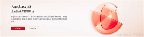 【金仓数据库征文】金仓数据库kingbasees：千行百业国产化征程中的璀璨之星es数据库 国产化替代 Csdn博客