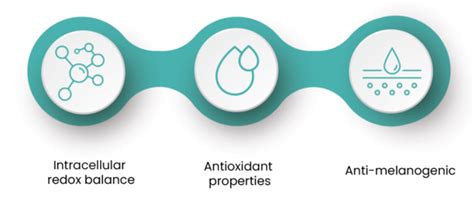 Clapio Glutathione St Indonesia