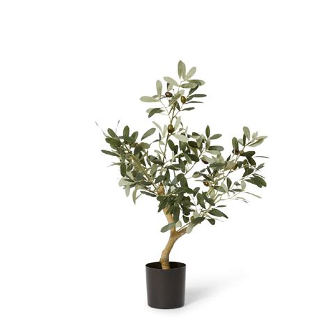 Olive Tree Small Village Home And Living