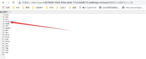 Ctfshow刷题之旅 命令执行 29 77118 124 未更新完 腾讯云开发者社区 腾讯云