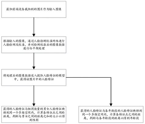 一种基于人脸特征进行年龄估计、和或性别识别的系统及方法与流程