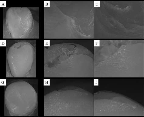 Sample After Fatigue Test It Is Possible To Observe Cracks In The