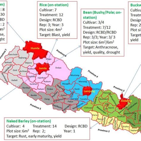 Process Flow Chart For General Bread Making Download Scientific Diagram