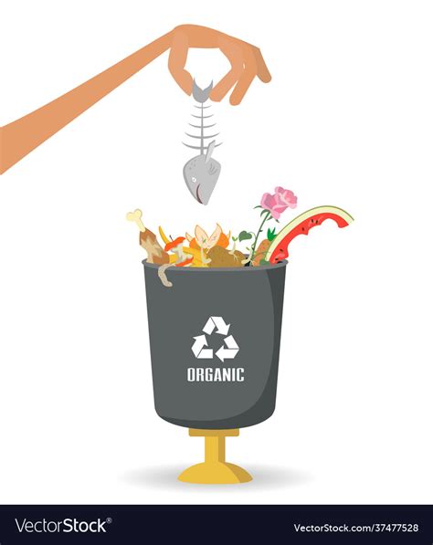 Man Throws Garbage Into A Organic Container Vector Image