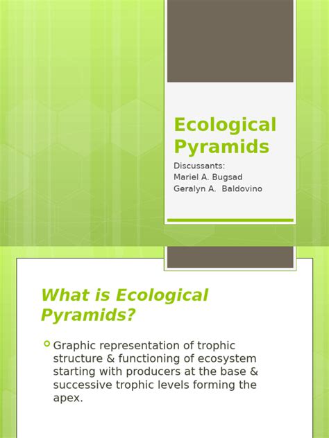 Ecological Pyramid Pee Pdf