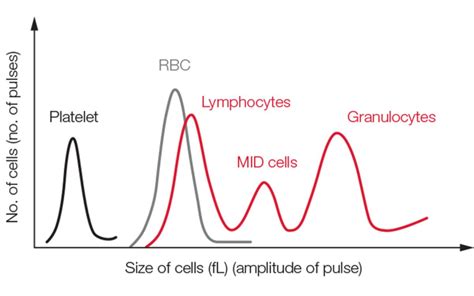 Pemeriksaan Darah Lengkap Cbc 3 Diff And 5 Diff Apa Bedanya