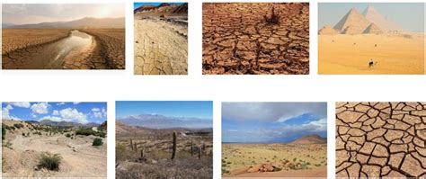 Clima Árido Características Zona Y Composición