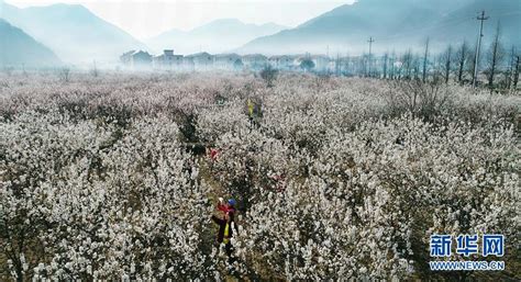 不负好春光 天山网 新疆新闻门户