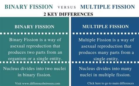 Difference Between Binary Fission And Multiple Fission