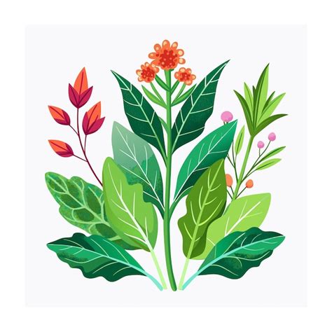 Premium Vector Realistic Beautiful Herbs Vector Illustration