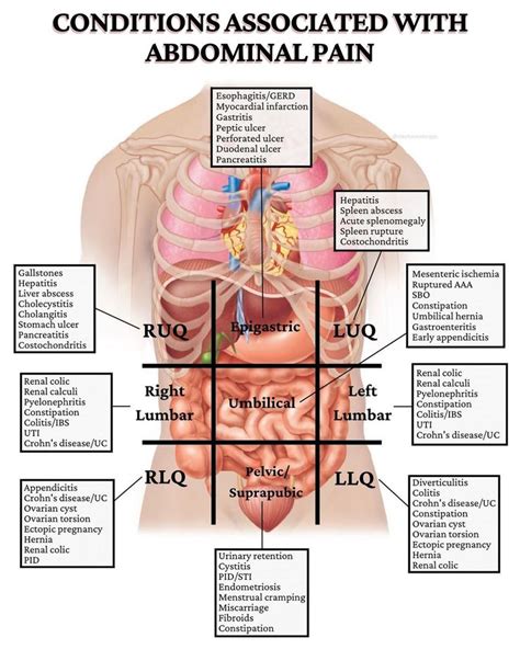 Pancreas Location Quadrant