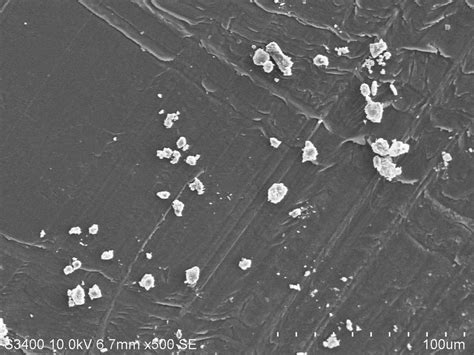 Scanning Electron Microscope Testing Services Sem At ₹ 3000 Test In Chennai Id 2853884610662