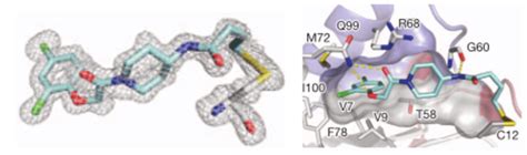 Kras G12c明星抑制剂的进击之路（上） 搜狐大视野 搜狐新闻