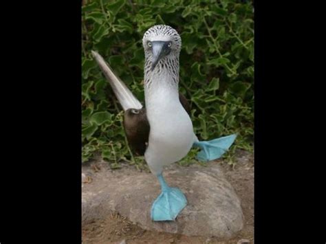 Link Naked Capitalism