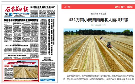 麦浪飘香 丰收在望431万亩小麦自南向北大面积开镰 作业 应急 全市