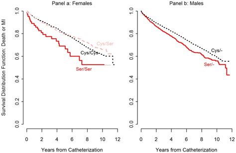 Using Pre Specified Contrasts In A Cox Regression Model Adjusted For Download Scientific