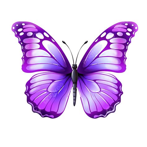 Mariposa Morada Png Dibujos Vectores Para Descarga Gratuita Pngtree