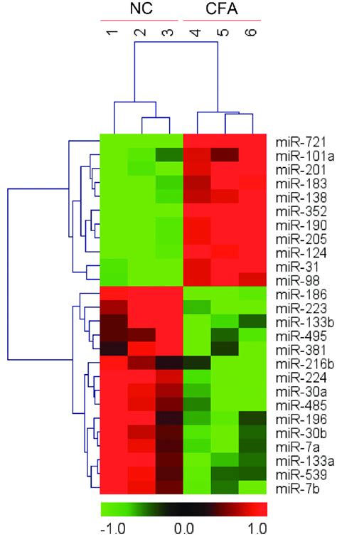 Microarray And Hierarchical Cluster Analysis Were Performed In
