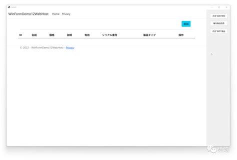 WinForm十三WebView2 董川民