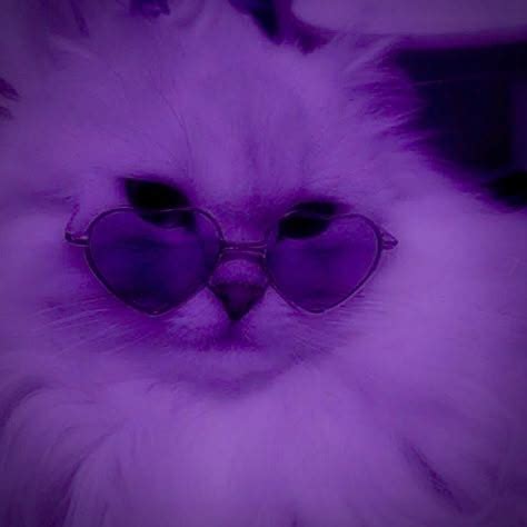 Cute Purple Pfp