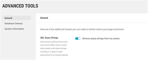 How To Remove Query Strings From Static Resources