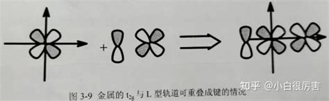 催化原理学习笔记（六） 知乎