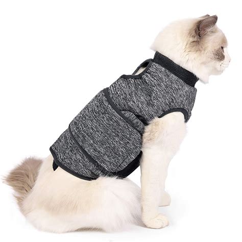 Cat Anxiety Jacket At Dorothy Hood Blog