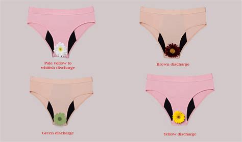 Vaginal Discharge Whats Normal And Whats Not What To Expect A