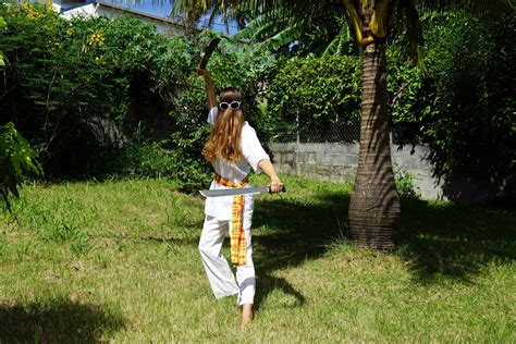 🥋 La Pratique Du Kung Chu Baka Ninjutsu Choubaka Et Shadoko