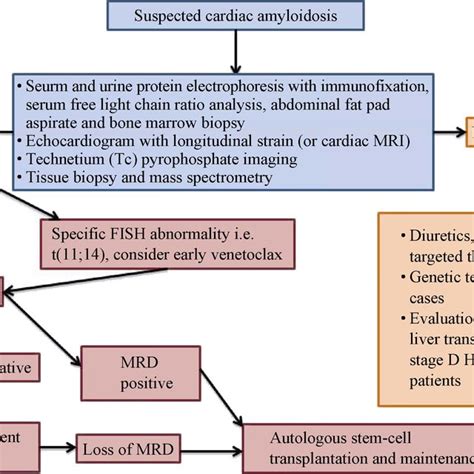 Treatment Algorithm Al Amyloidosis Al Light Chain Amyloidosis Mrd
