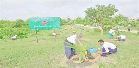 ကရုဏာကမ္ဘာဘိုးဘွားရိပ်သာ၌ မိုးရာသီသစ်ပင်စိုက်ပွဲတော်ကျင်းပ အုန်းပင