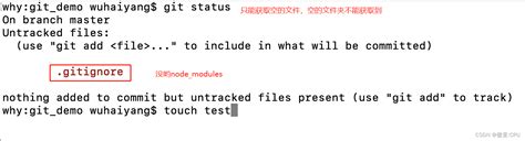 文件或者文件夹的忽略 vscode git 忽略文件 csdn博客