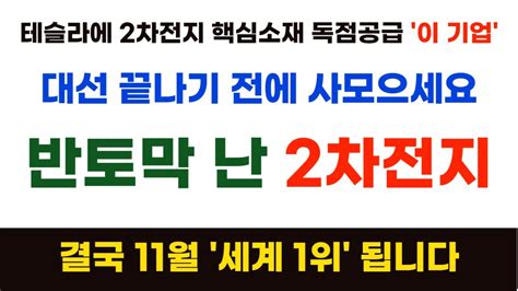 주식 테슬라에 2차전지 핵심소재 독점공급 이 기업 대선 끝나기 전에 사모으세요 세계 1위인데 반토막 났어요 2차전지관련주 에코프로비엠 포스코홀딩스 Youtube