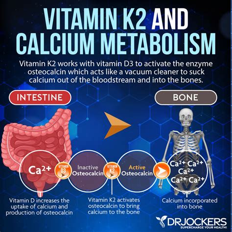Vitamin K2 Benefits For Heart Bones And Hormones Ōmura Health