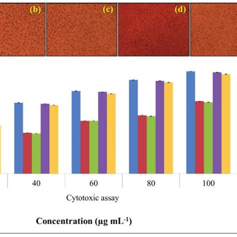Illustration Of Cytotoxic Activity A Control B Standard C And D