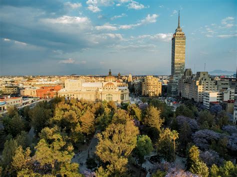 집 밖의 Cdmx 거리 생활 건물 건물 외관 건축 고층 건물 관광 구름 낀 하늘 깃발 노란 버스 도시 도시 경관 도시 전경 도시 풍경 도시들