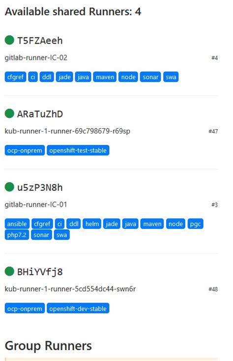 Problem Running My Build Job On Self Managed Gitlab Gitlab Cicd Gitlab Forum