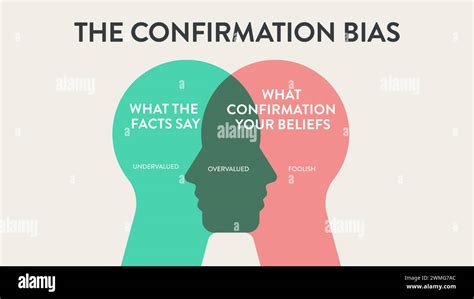 Confirmation Bias Infographic Diagram Chart Illustration Banner With Icon Vector For