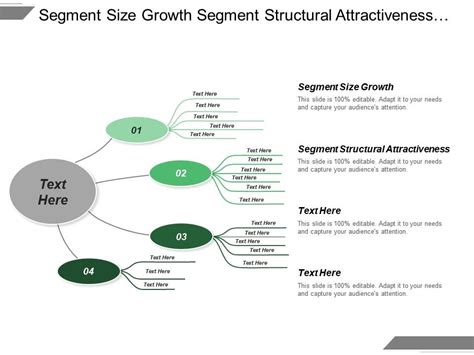 Segment Size Growth Segment Structural Attractiveness Substitute