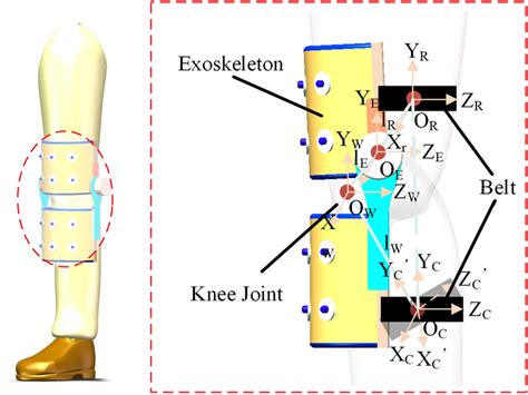 Schematic Of Coordinate System Of The Human Machine Kinematic Chain Download Scientific Diagram