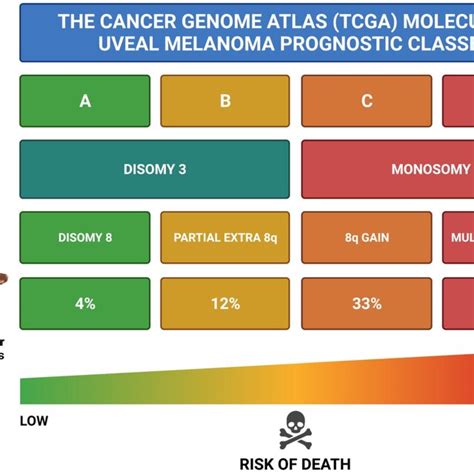 New Molecular Prognostic Classification For Uveal Melanoma Based On The