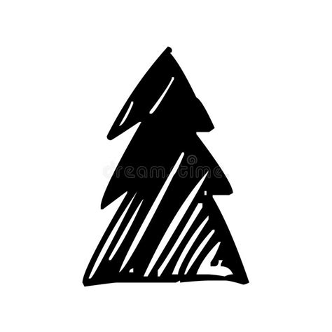 Coniferous Tree Conifer Pine Fir Juniper Spruce Nature Graphic