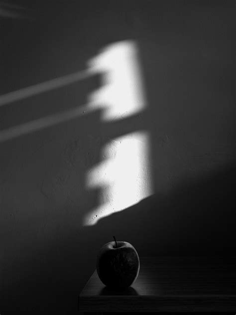 사과 그림자 단색화 Pixabay의 무료 사진