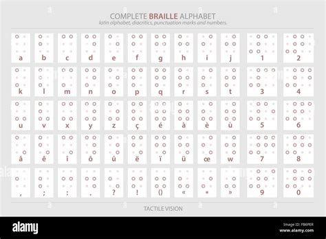 Complete Braille Alphabet Poster With Latin Letters Numbers