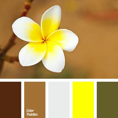 Yellow Color Palettes Page 108 Of 130 Color Palette Ideas