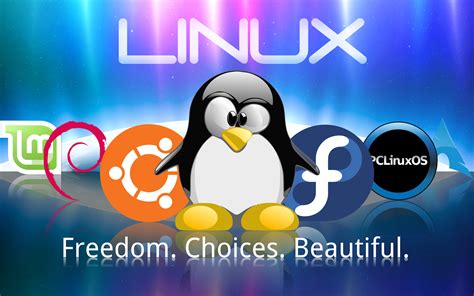 Linux cho người mới bắt đầu Bài 1 Chuẩn bị Linux Team Việt Nam