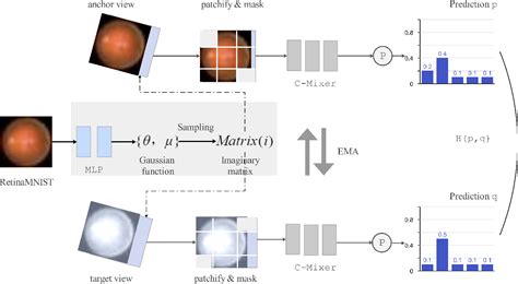 Complex Mixer For Medmnist Classification Decathlon Paper And Code
